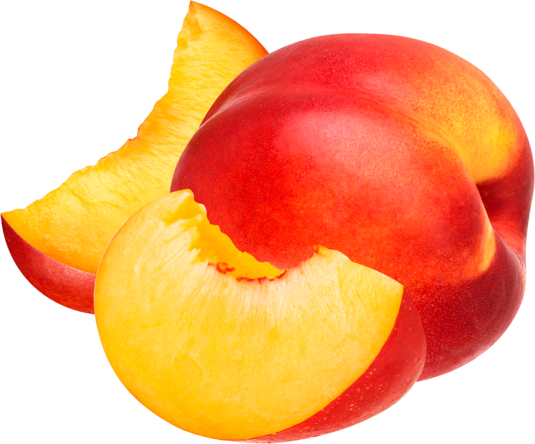 Innovative Individual Quick Freezing (IQF) Tunnel | OctoFrost