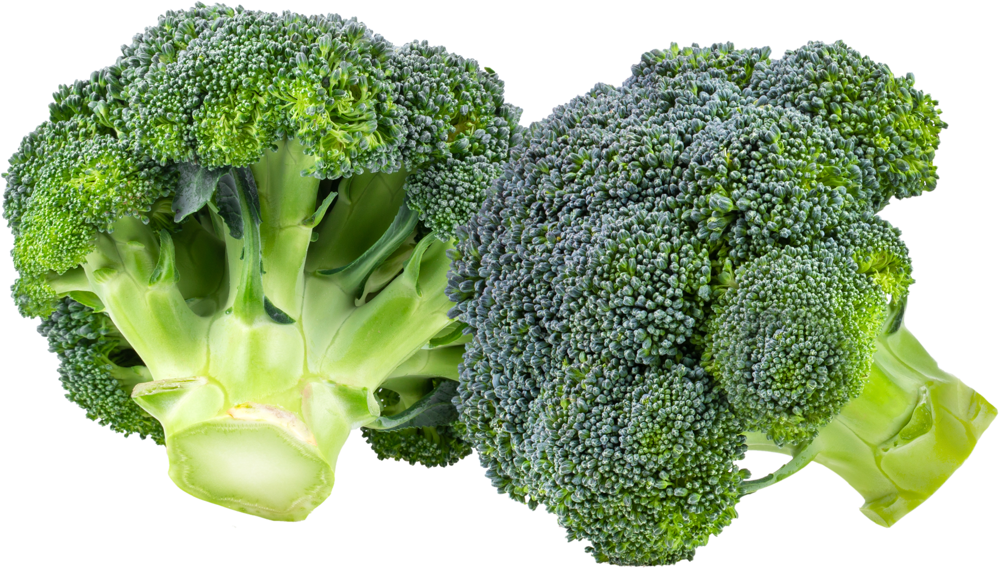 Innovative Individual Quick Freezing (IQF) Tunnel | OctoFrost