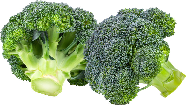 Blanching Machine with precise temperature control | Octofrost