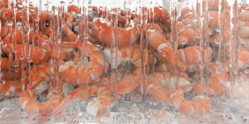 IQF Shrimp and Seafood Processing Equipment | Octofrost