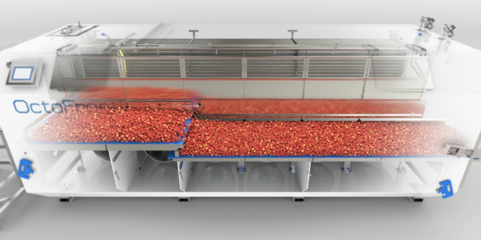 Highly efficient equipment for IQF freezing berries | OctoFrost