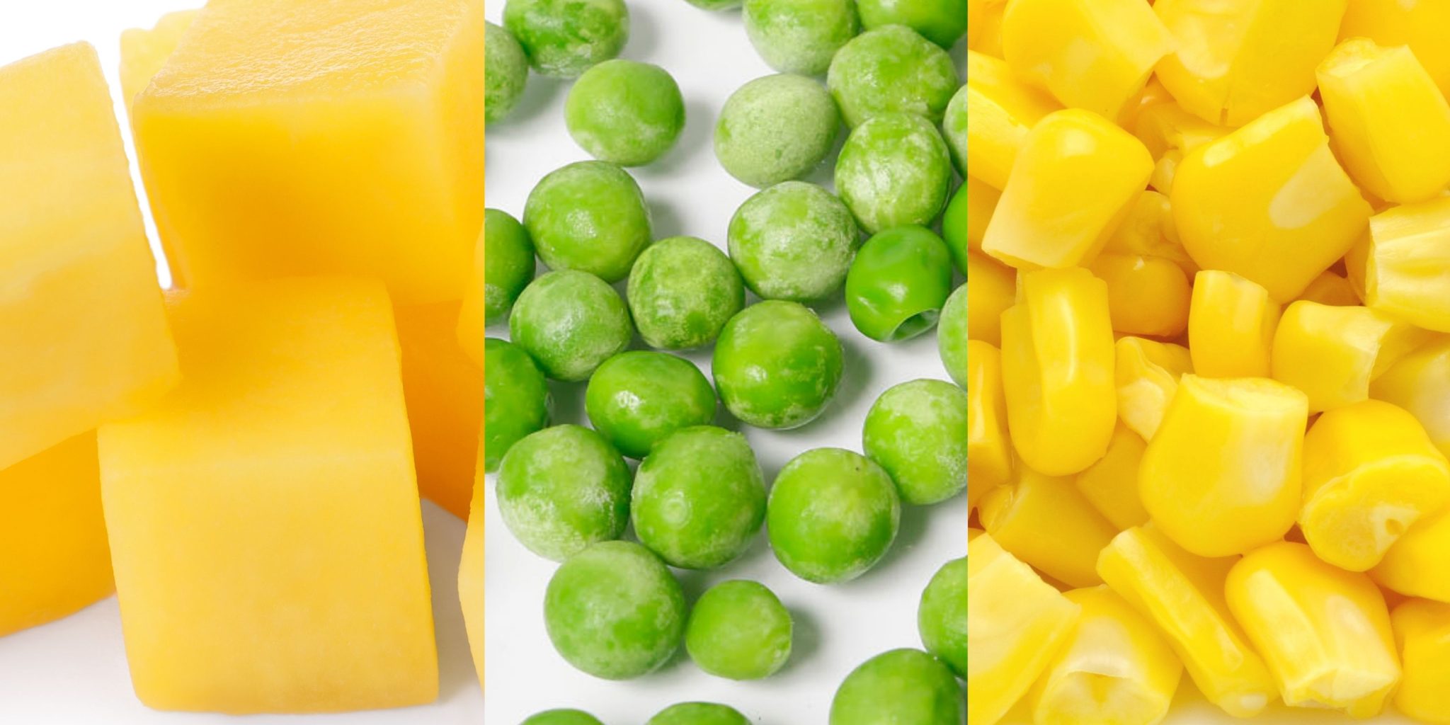 Leading Indian IQF Processor Invests in OctoFrost IQF Freezer